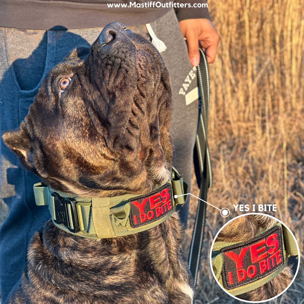 ProGuard Patches – Mastiff Outfitters LLC
