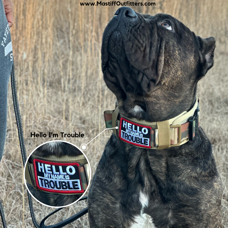 ProGuard Patch Collection – Mastiff Outfitters LLC