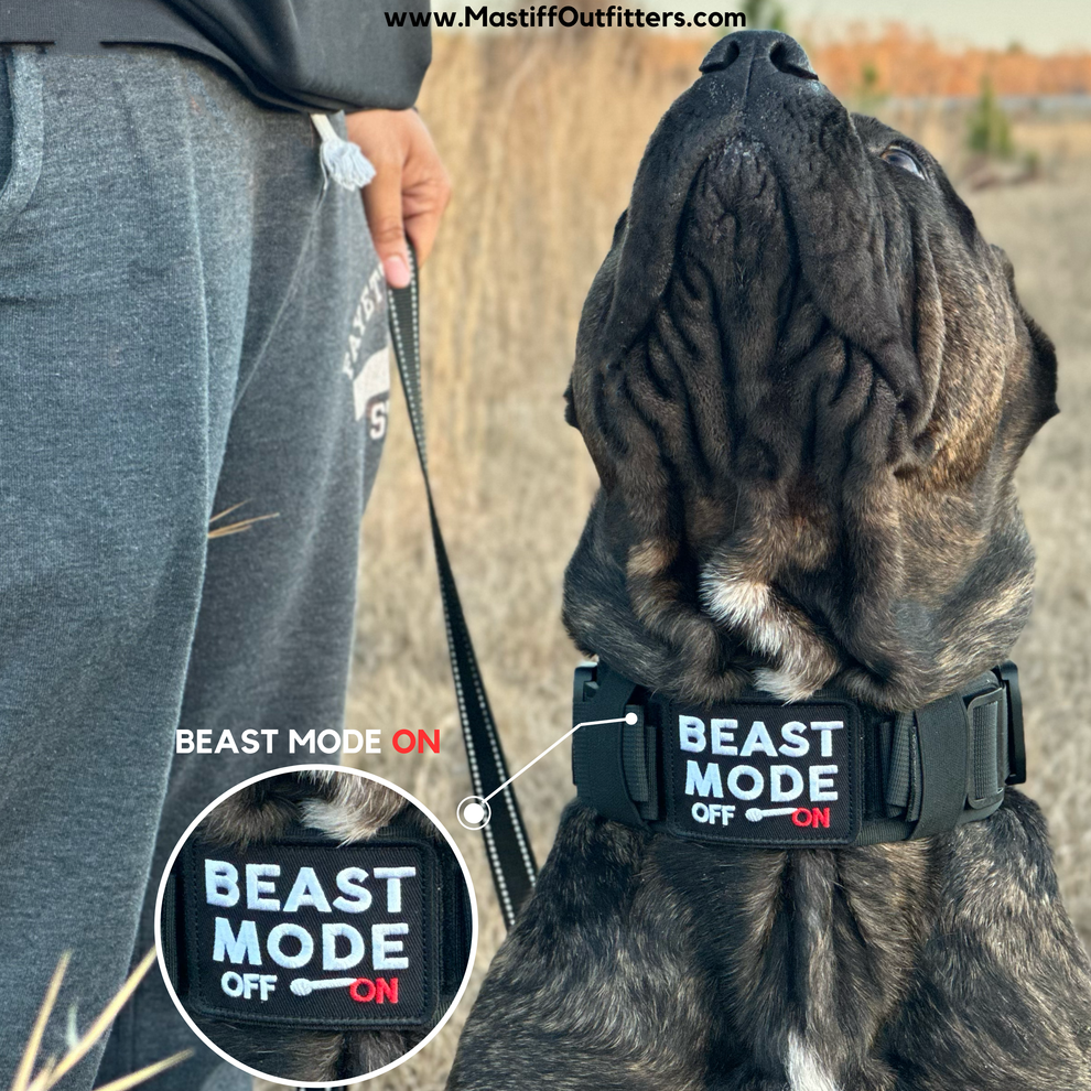 ProGuard Patches – Mastiff Outfitters LLC