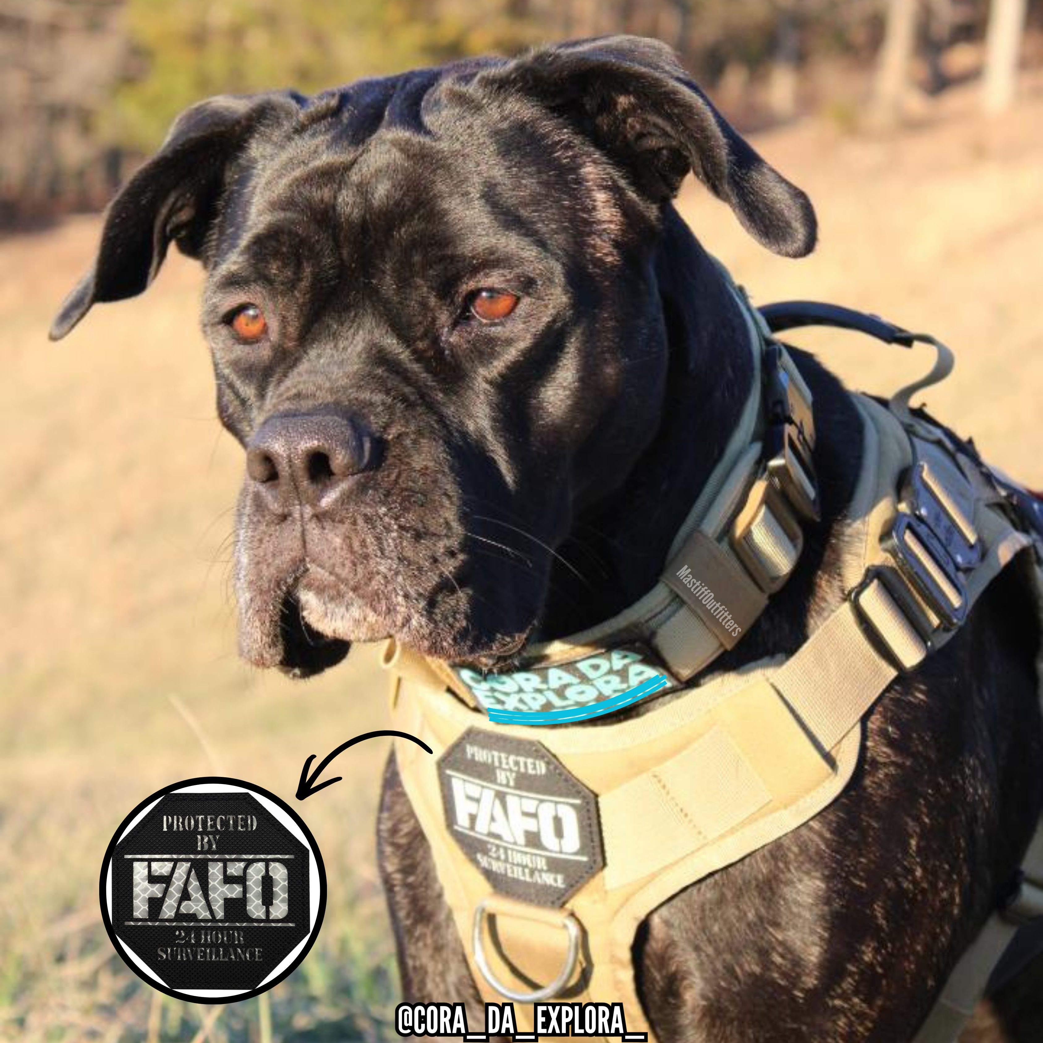 Reflective Pro Patch – Mastiff Outfitters LLC