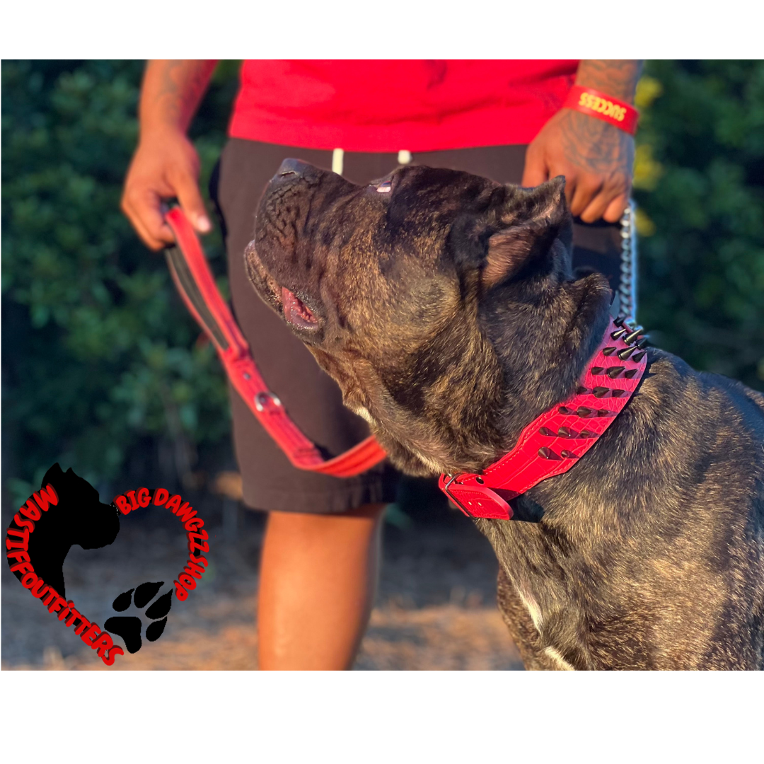 Mastiff Outfitters - Tactical Mastiff Strong Gear- The Big Dawgzz Shop ...